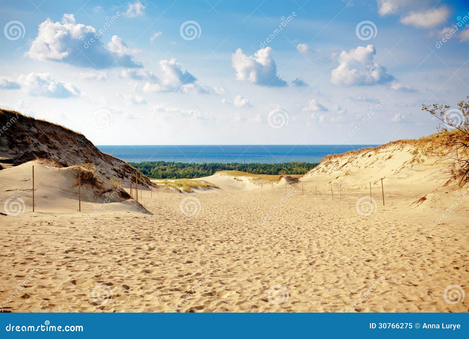 Grey Dunes at the Curonian Spit Stock Image - Image of nature, clean ...