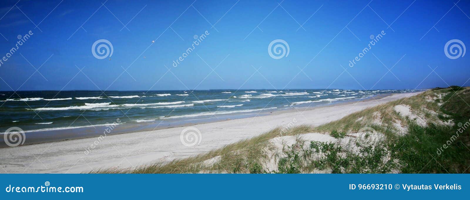 Grey Dunes in the Fall Time. Stock Photo - Image of heaven, hill: 96693210