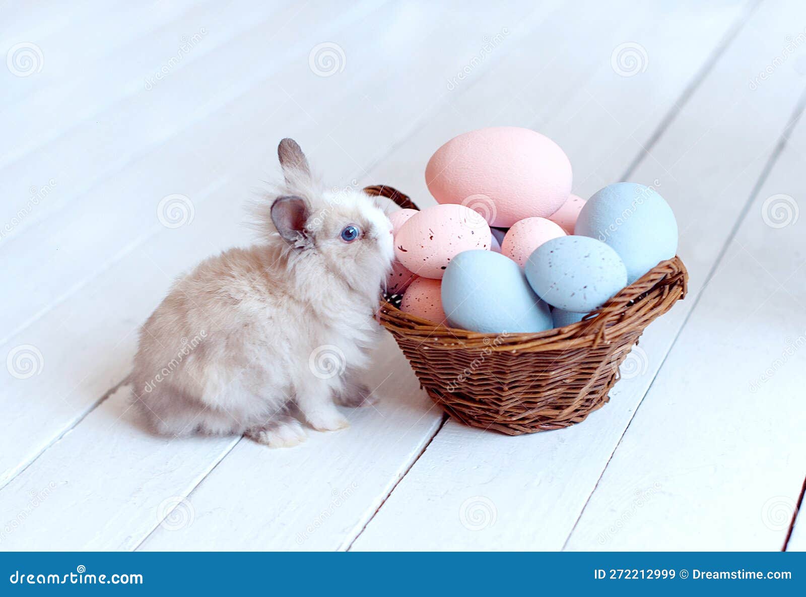Grey Easter Bunny Rabbit with Basket and Painted Eggs Stock Image ...