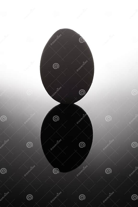 Grey Egg in Backlit with Reflection in Black Stock Photo - Image of ...