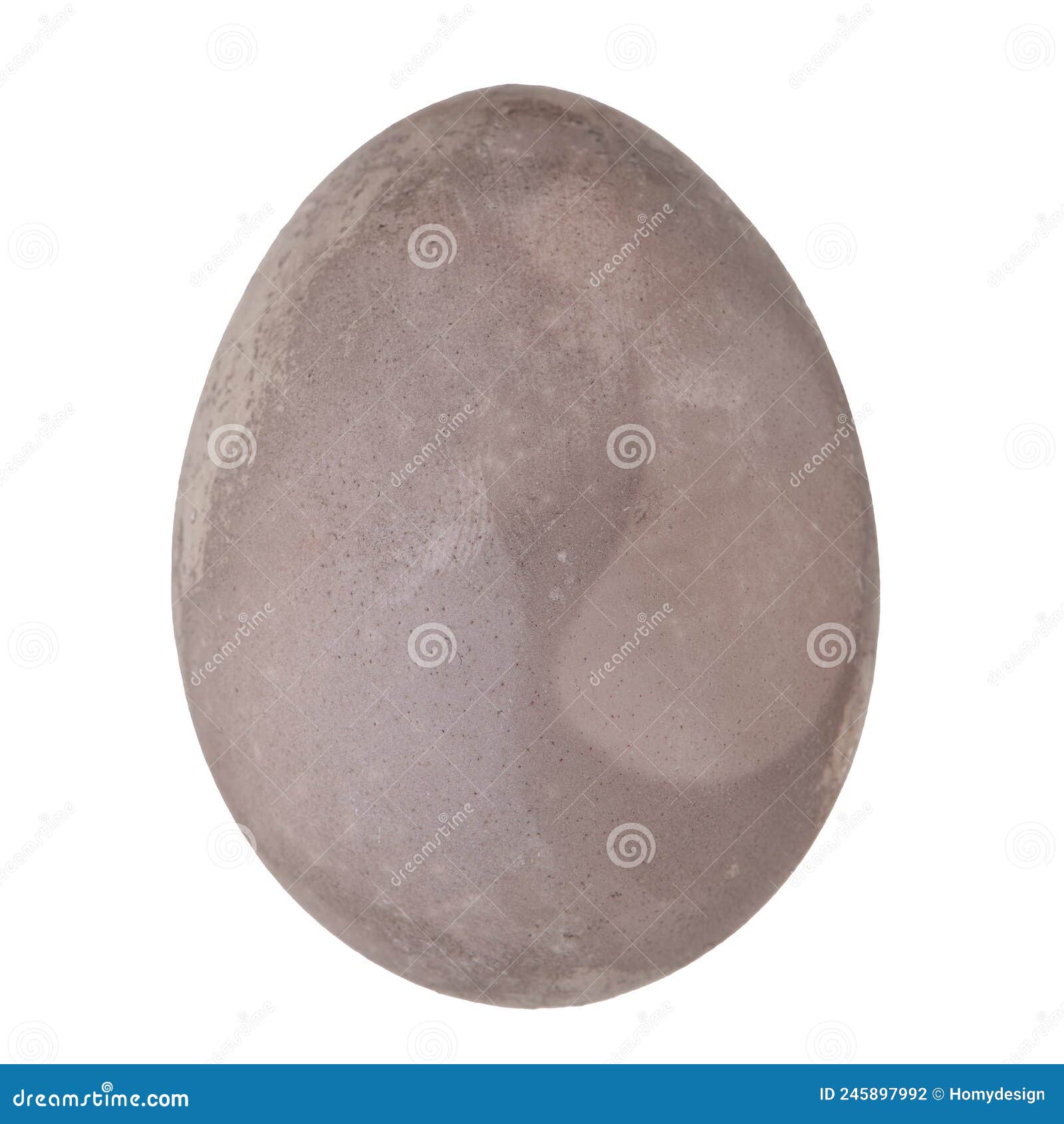 Grey egg isolated stock photo. Image of precious, organic - 245897992