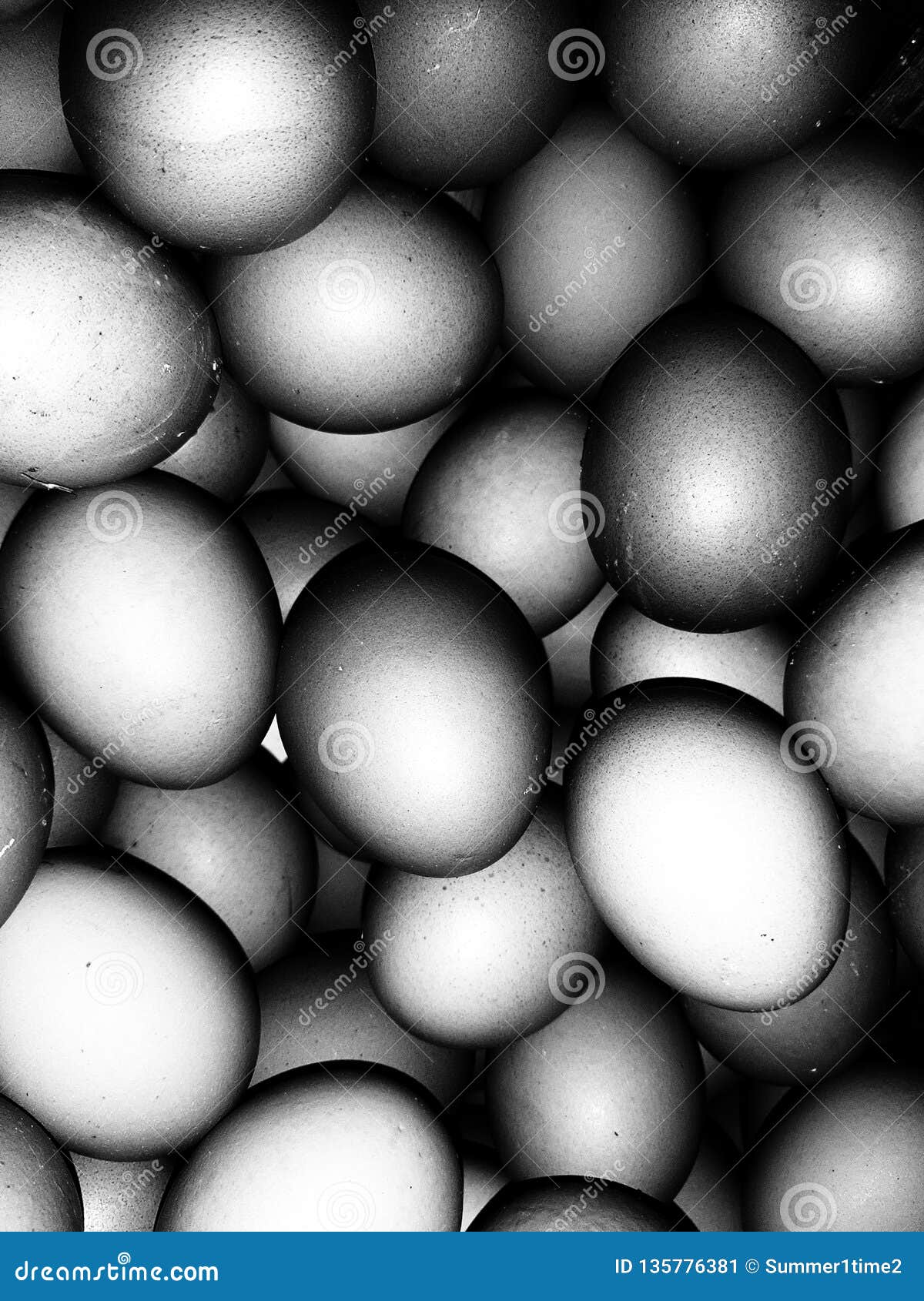 Grey egg stock image. Image of delicious, food, grey - 135776381
