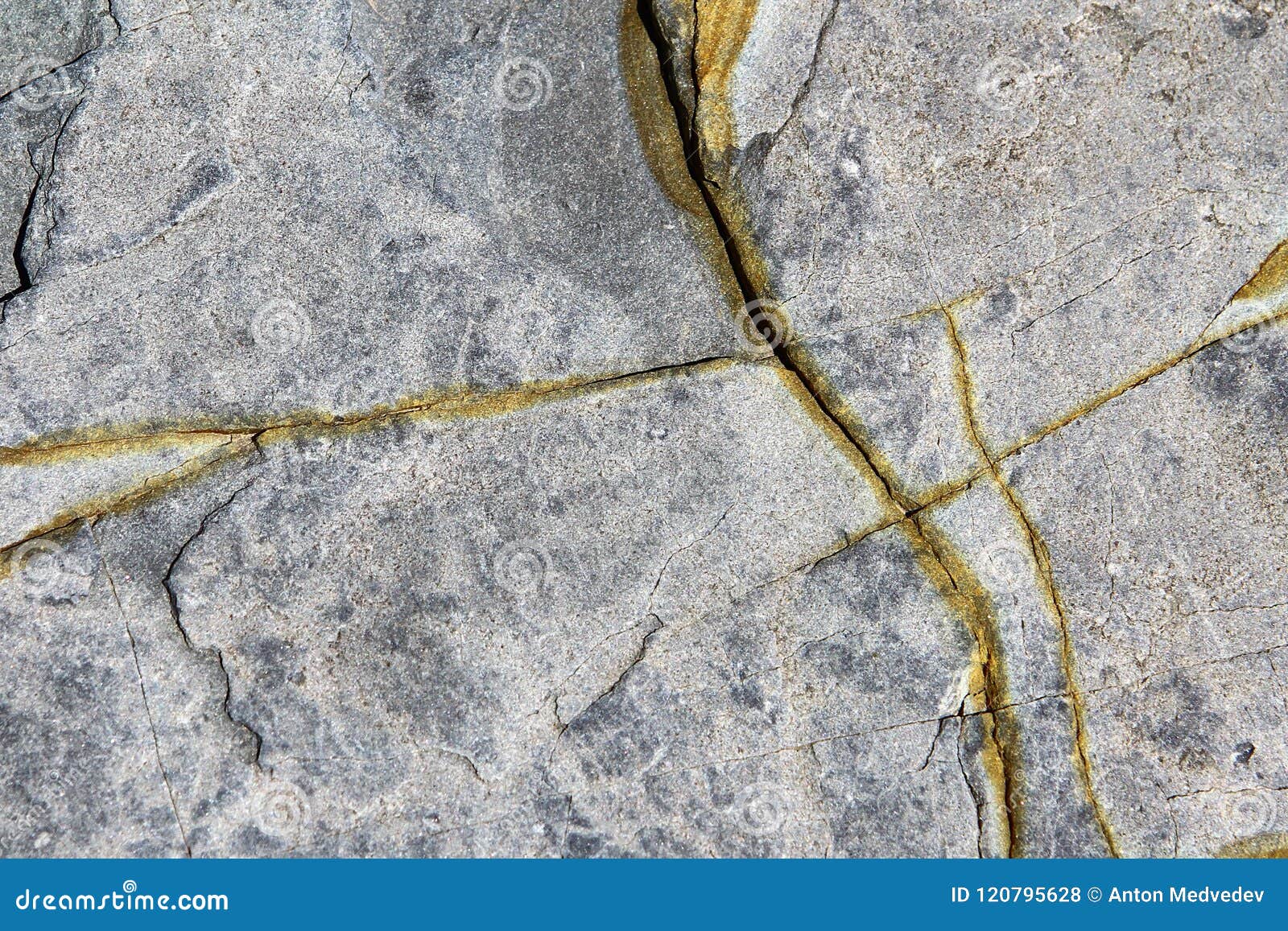 Grey Eroded Stone Surface Texture with Cracks. Sea Limestone. Stock ...