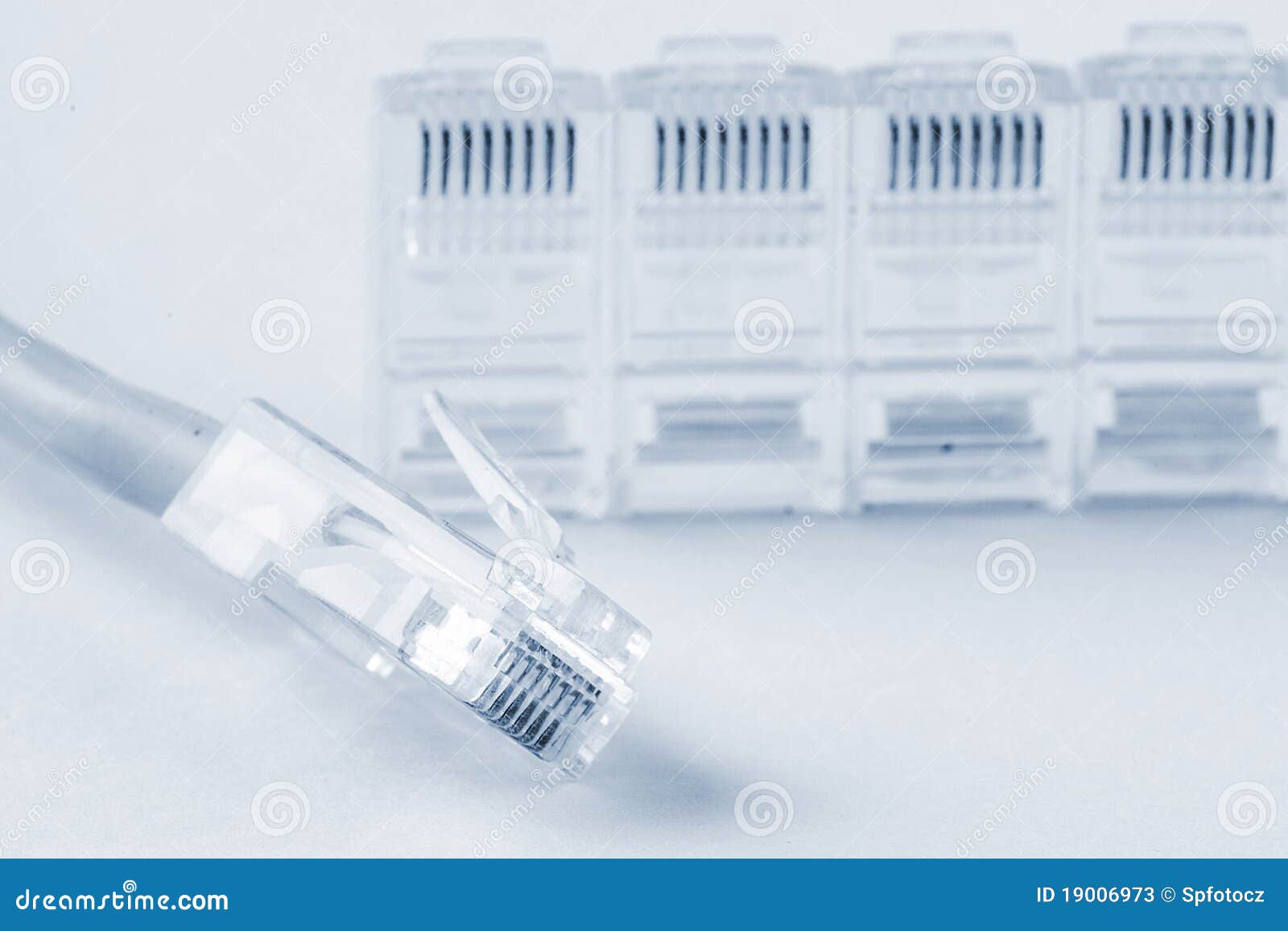 Network RJ45 Female Socket Is Chased By Two UTP/STP Cables That Looks ...