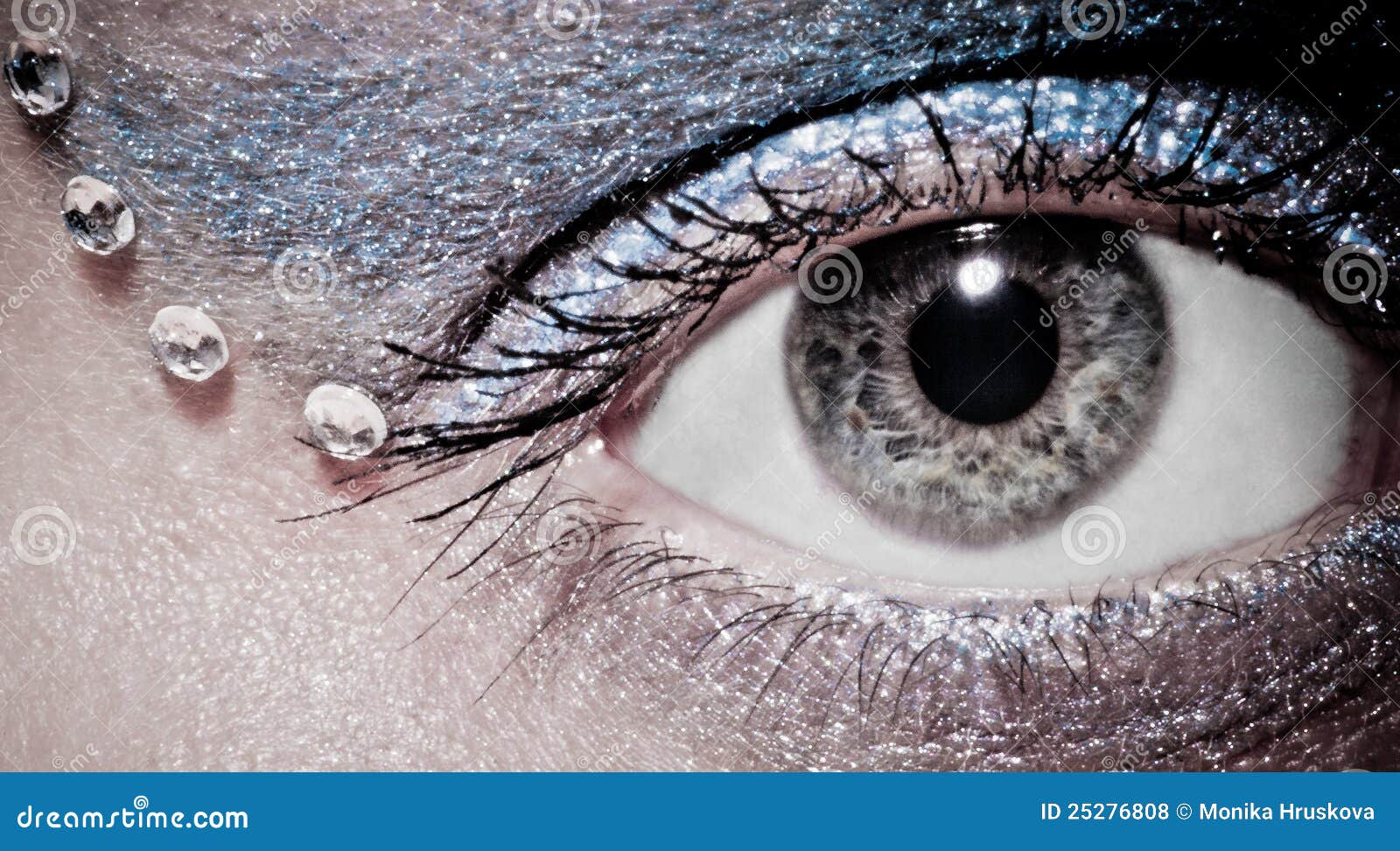 Grey eye stock photo. Image of detail, focus, lens, communicate - 25276808