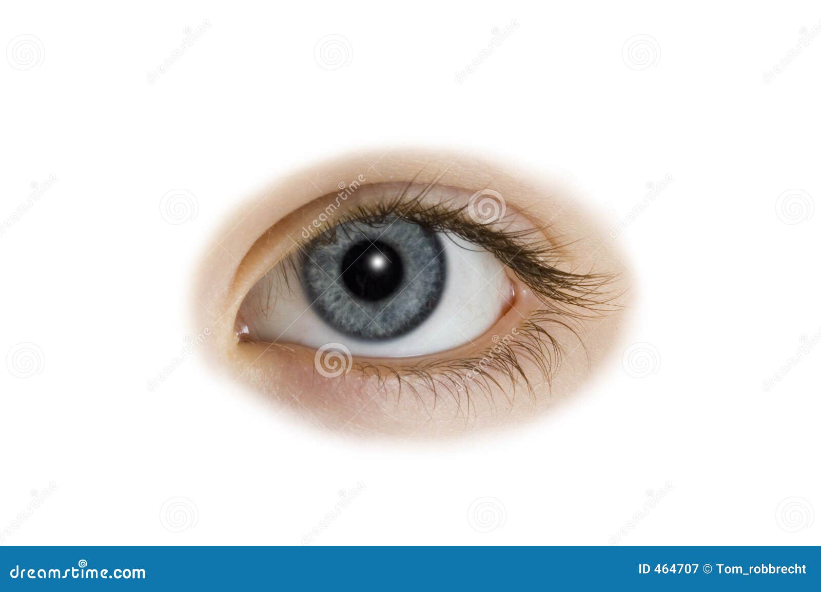 Grey eye (color) stock image. Image of female, ladies, eyeball - 464707