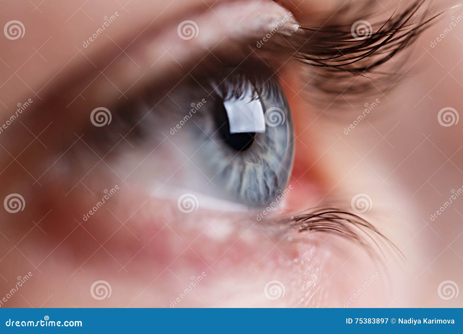 Grey eye macro shot stock image. Image of optics, human - 75383897