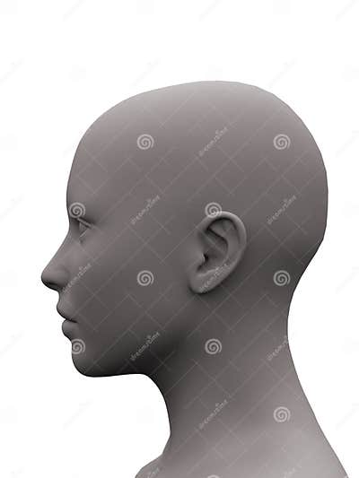 Grey female head stock illustration. Illustration of smooth - 8690204