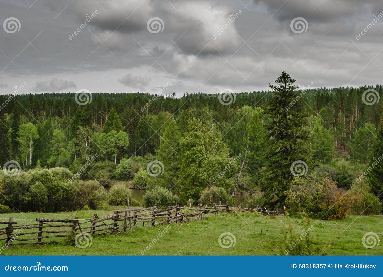 Grey Forest Landscape stock image. Image of cloudy, nature - 68318357