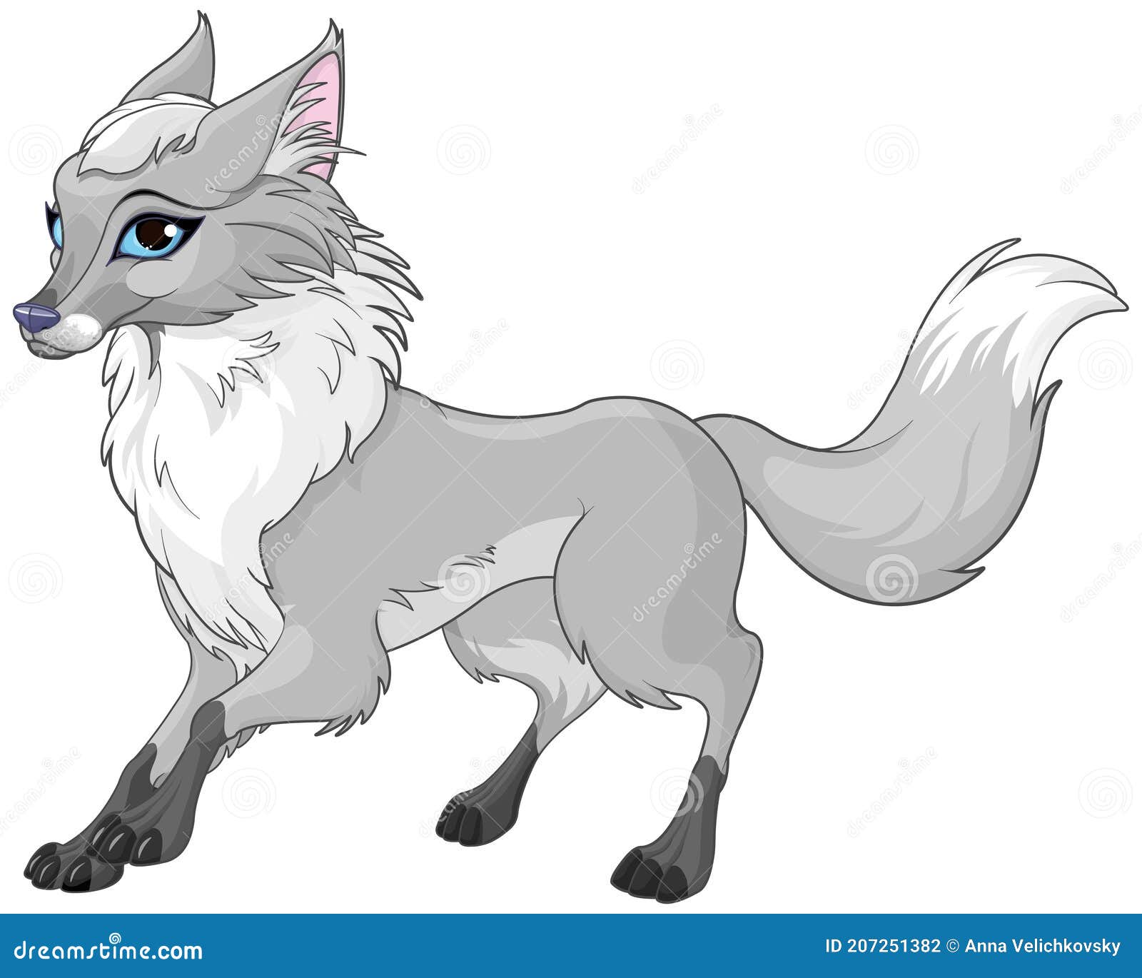 Elegance Grey fox stock vector. Illustration of characters - 207251382