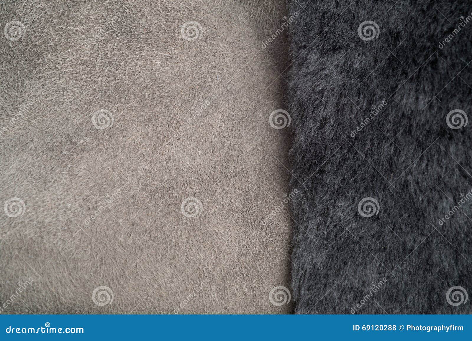 Grey Fur on Light Grey Shearling Stock Photo - Image of background ...