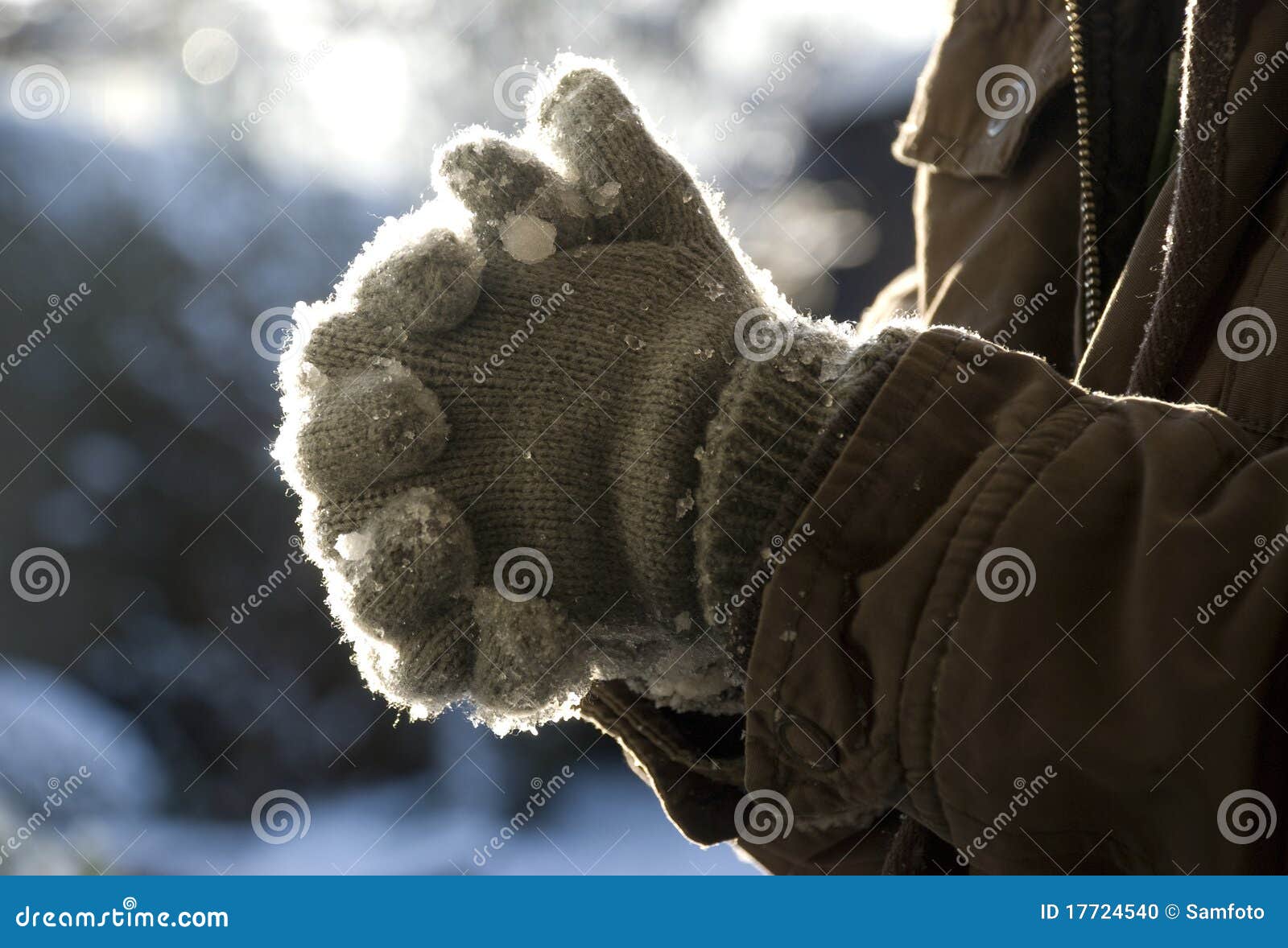 Grey Gloves with Snow in Afternoon Sunlight Stock Photo - Image of ...