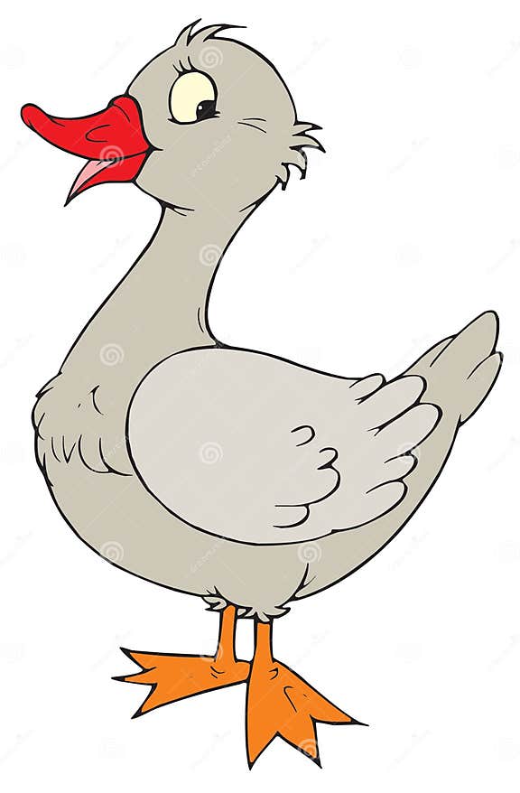 Grey Goose (vector Clip-art) Stock Vector - Illustration of farm, album ...