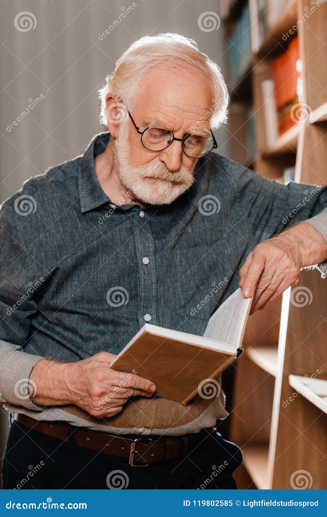 Grey Hair Librarian Reading Stock Image - Image of handsome, education ...