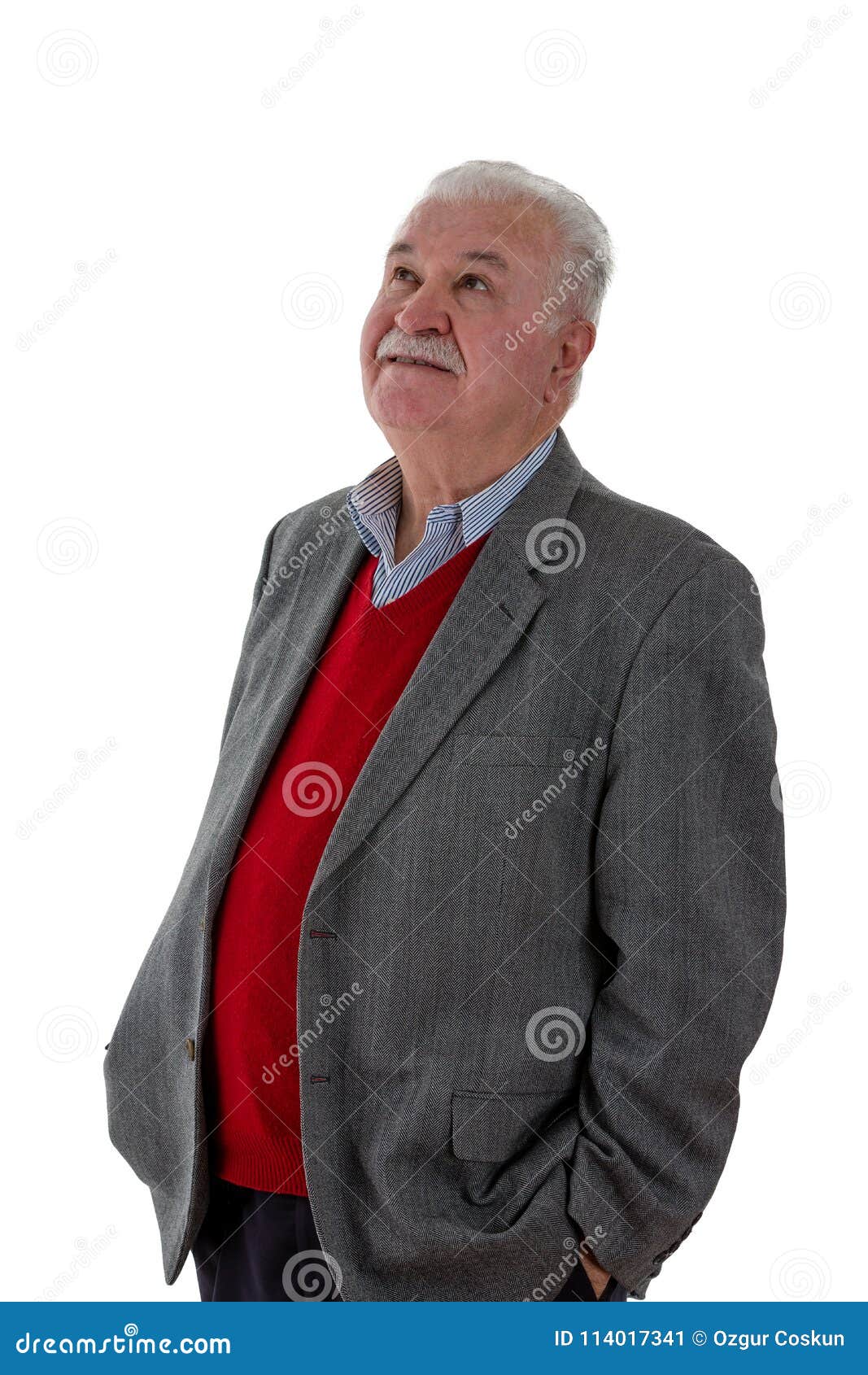 Grey-haired Elderly Man Standing Thinking Stock Image - Image of ...
