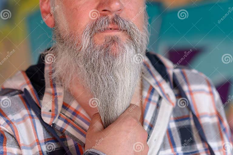 Grey-haired Man Pulling on His Beard Stock Image - Image of older ...