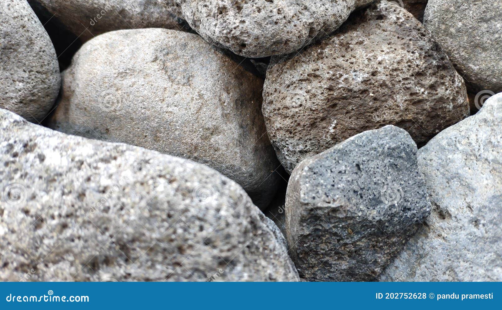 Grey hard stone stock photo. Image of stone, grey, rock - 202752628