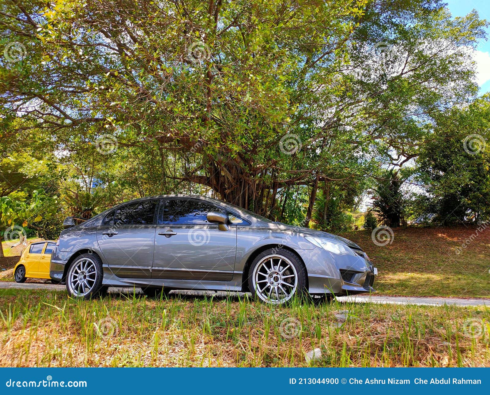 A Grey Honda Civic Car Under the Tree. Stock Photo - Image of ...