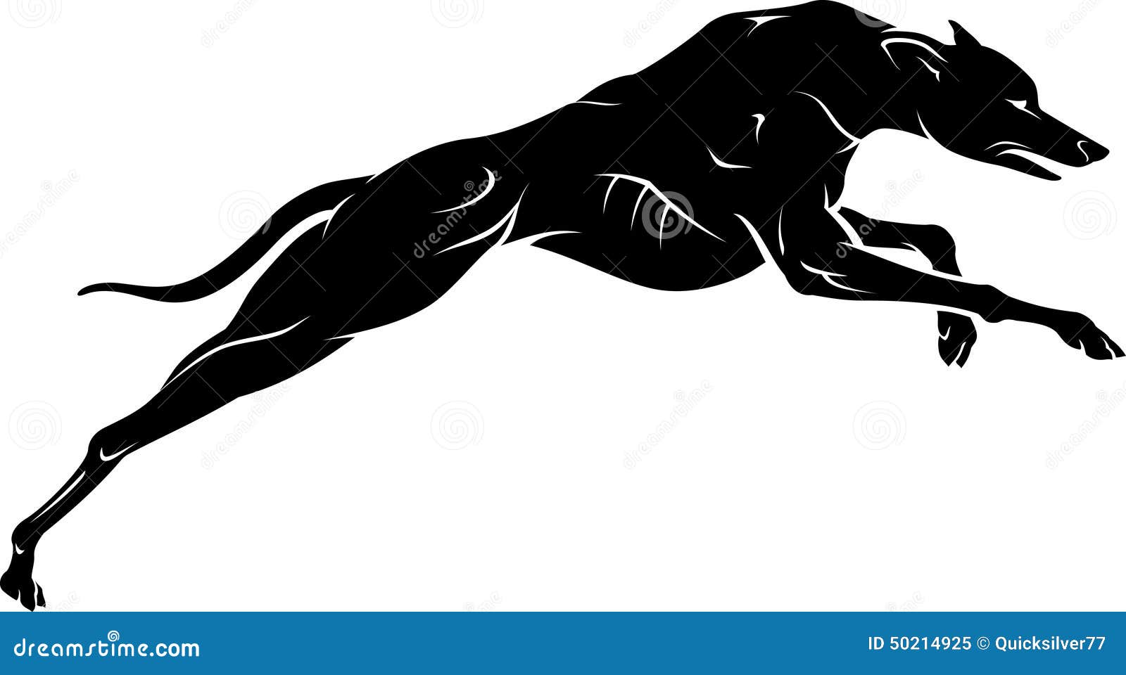 Grey Hound Running stock vector. Illustration of animal - 50214925