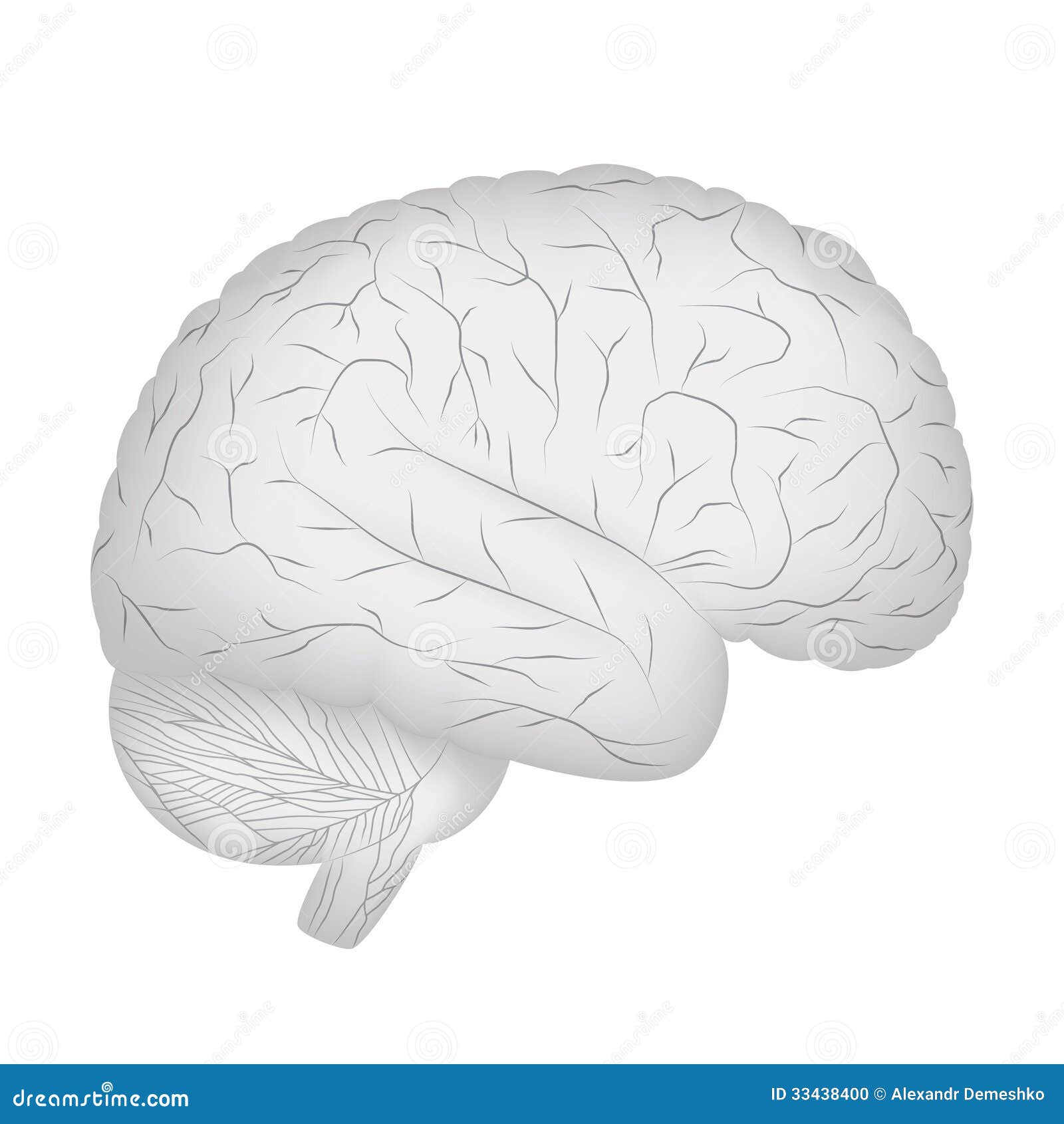 Grey human brain. stock vector. Illustration of graphic - 33438400