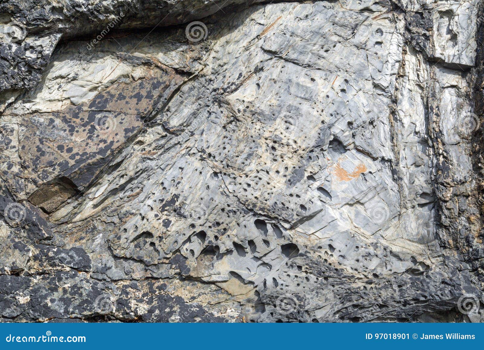 Grey Igneous Rocks Background Stock Image - Image of grey, beach: 97018901