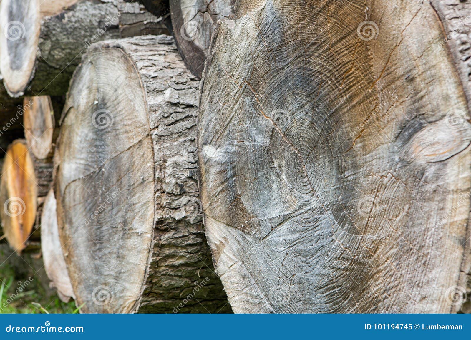 Logs stock image. Image of logging, nature, grey, material - 101194745
