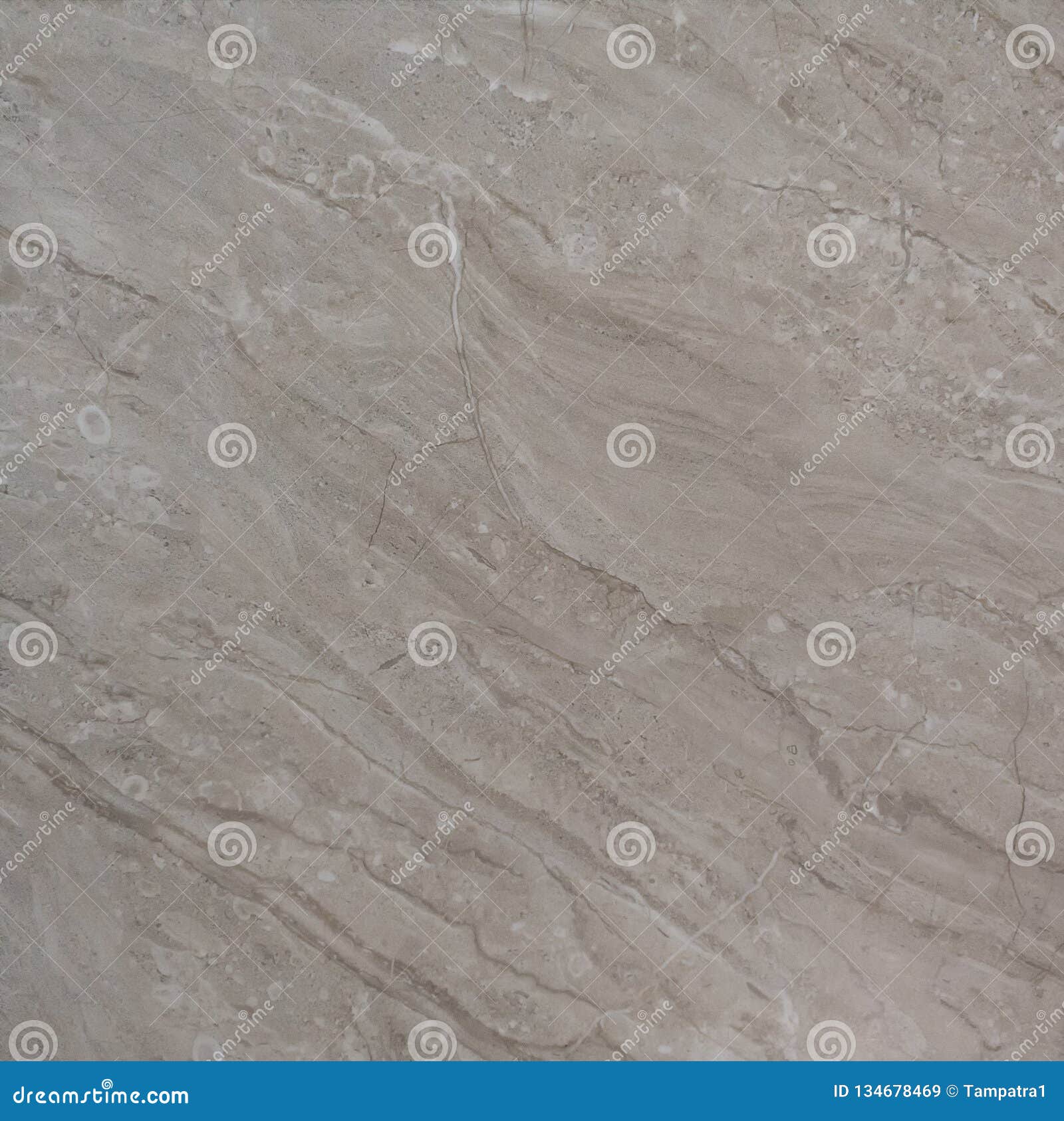 Grey Marble Wall or Flooring Pattern Surface Texture. Close-up of ...