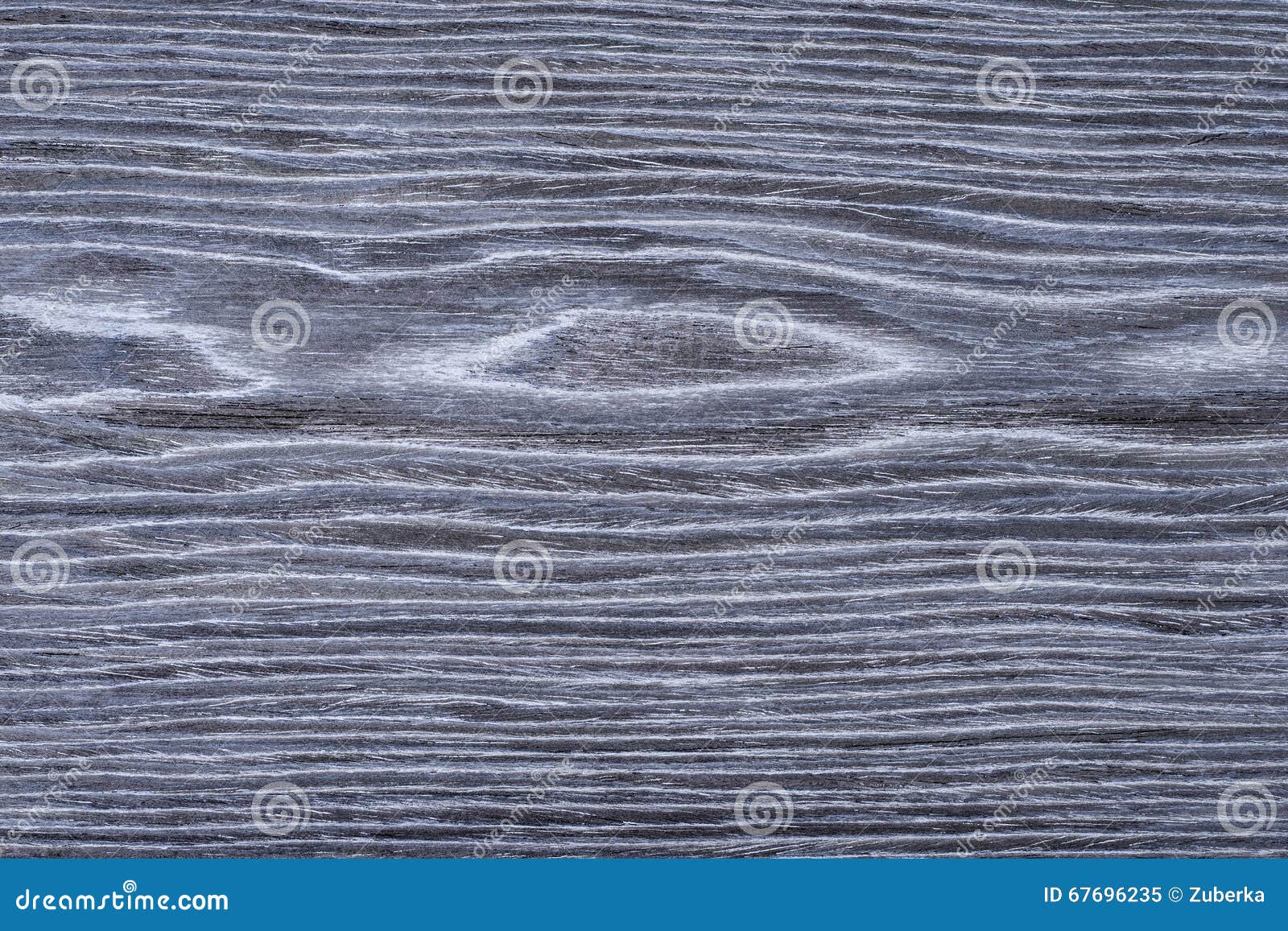 Grey oak stock image. Image of close, geometric, backdrop - 67696235