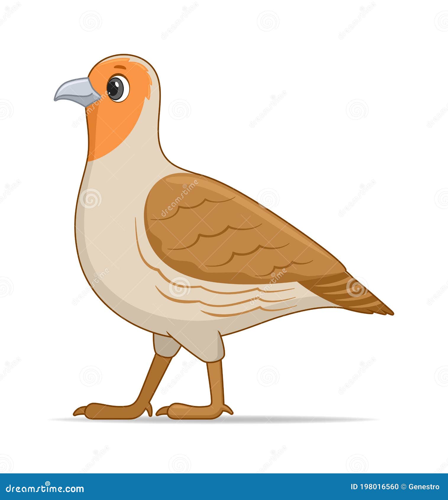 Partridge Bird Coloring. Vector Outline Image Royalty-Free Cartoon ...