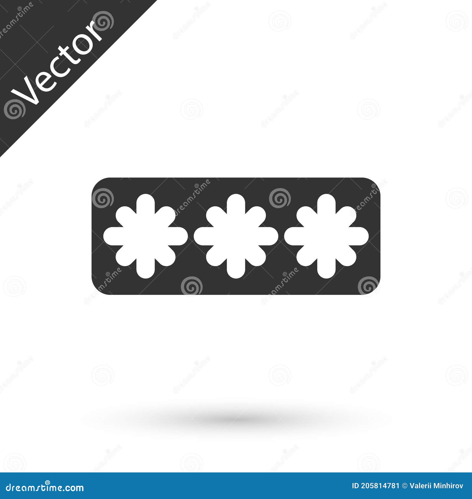 Grey Password Protection and Safety Access Icon Isolated on White ...