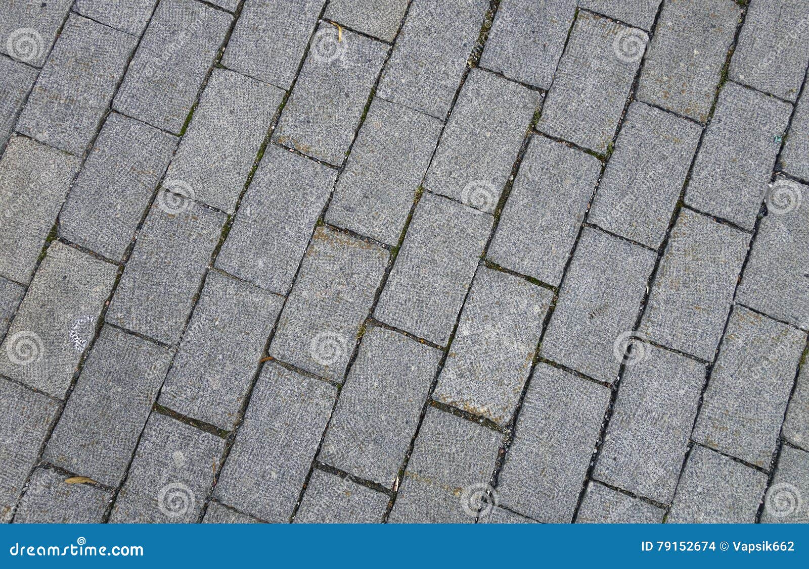 Grey pavement. stock photo. Image of urban, pave, parquet - 79152674