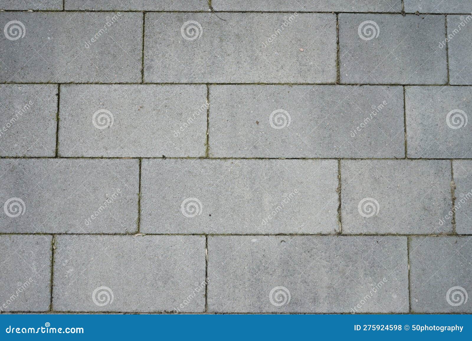 Grey Paving Bricks. Walking Path Made with Grey Bricks Stock Photo ...