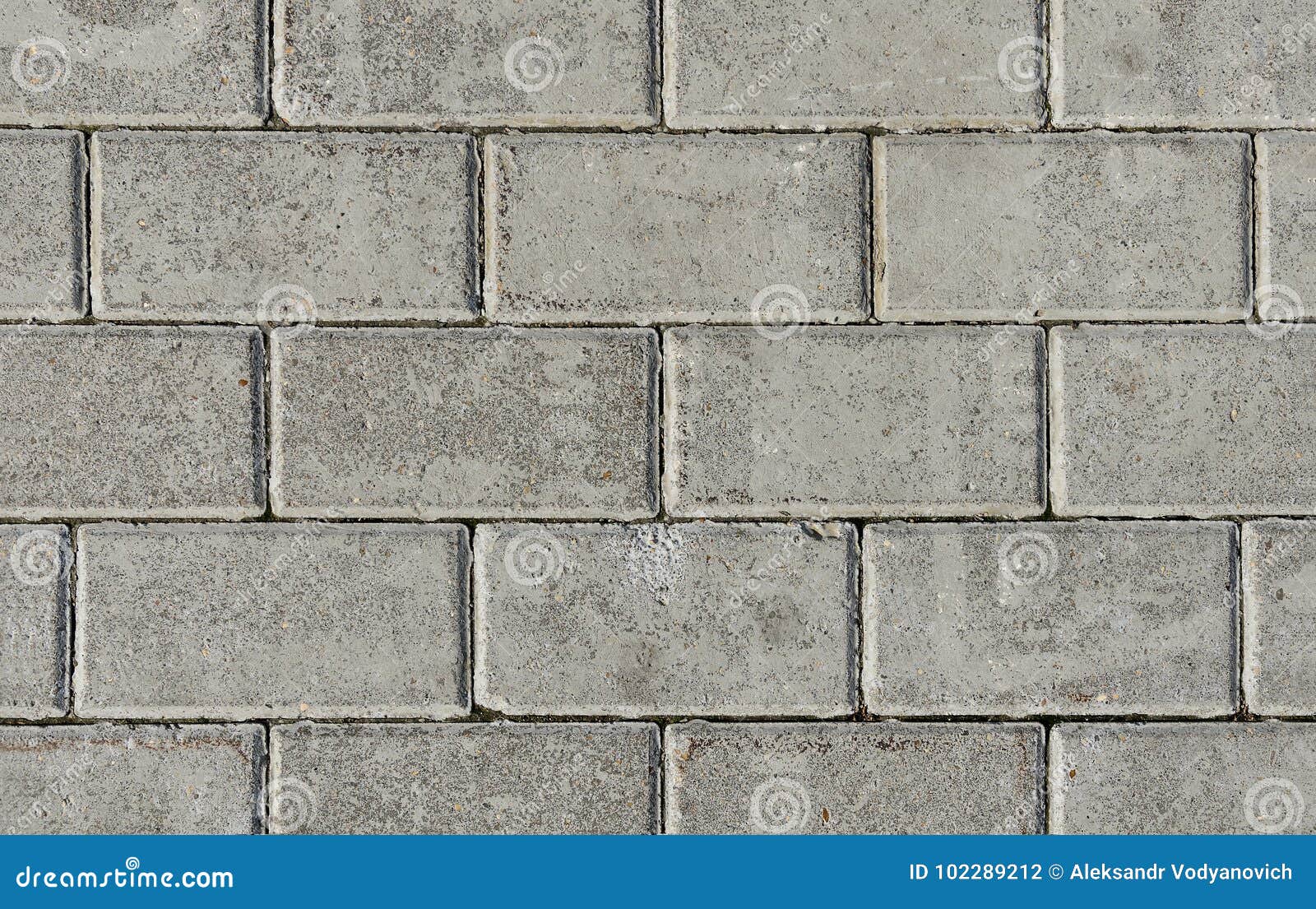 Grey Paving Stone of Rectangular Shape Stock Photo - Image of material ...
