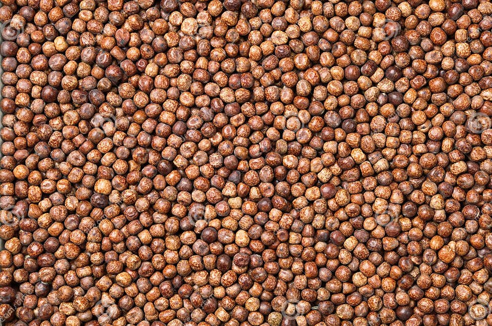 Grey peas stock image. Image of botanically, cooking - 24988811