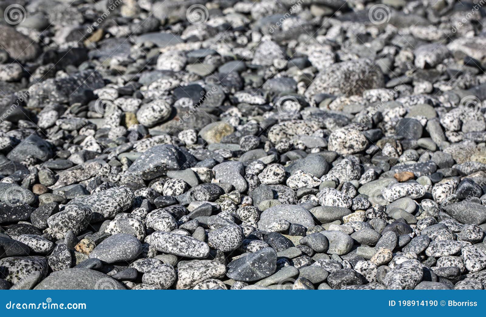 Grey Pebbles on the Beach on Ocean. Selective Focus Stock Photo - Image ...
