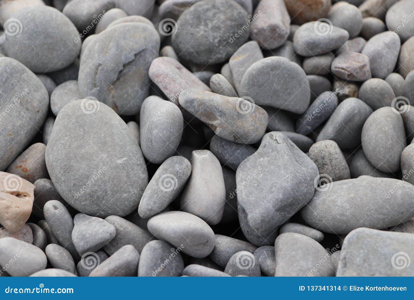 Grey pebbles on the beach stock photo. Image of mineral - 137341314