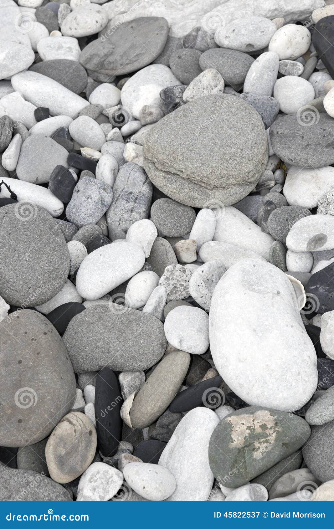 Grey Pebbles and Rocks in a Beach Stock Image - Image of pebbles ...