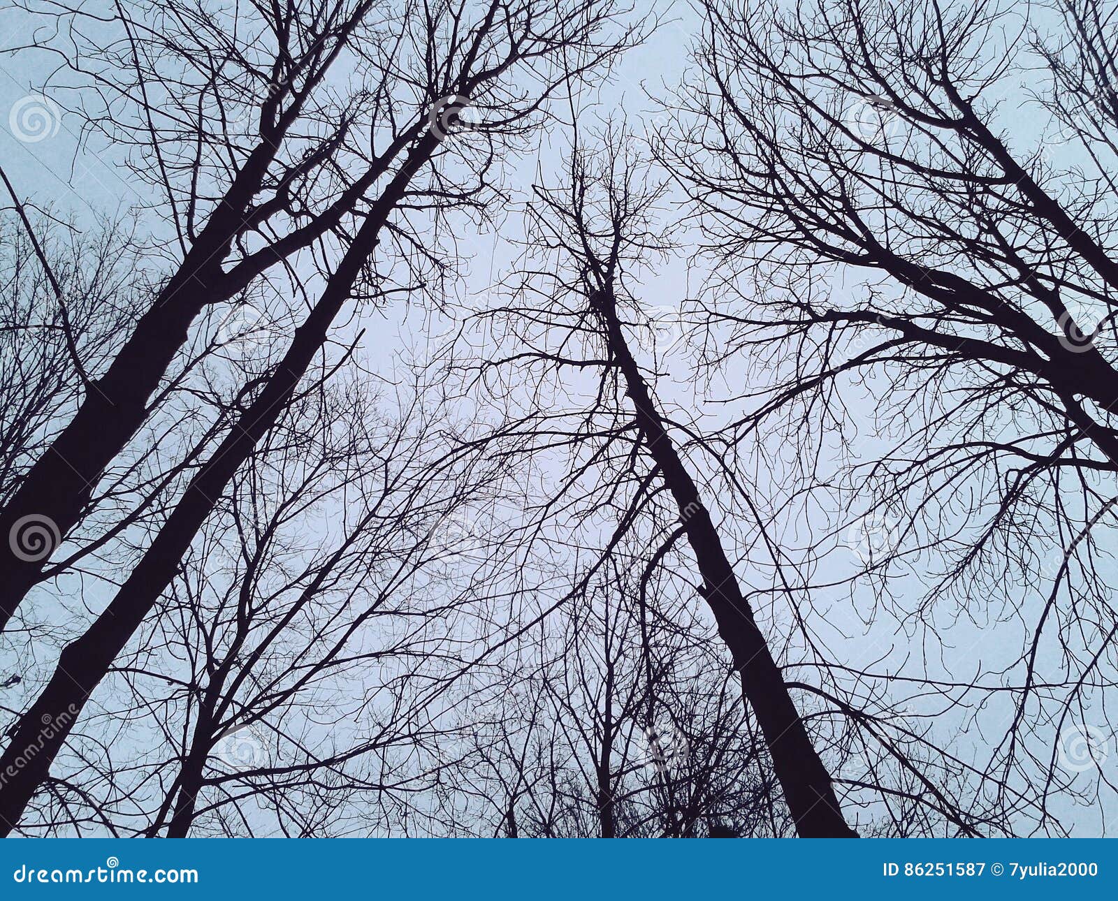 Grey stock image. Image of fall, weather, grey, autumn - 86251587