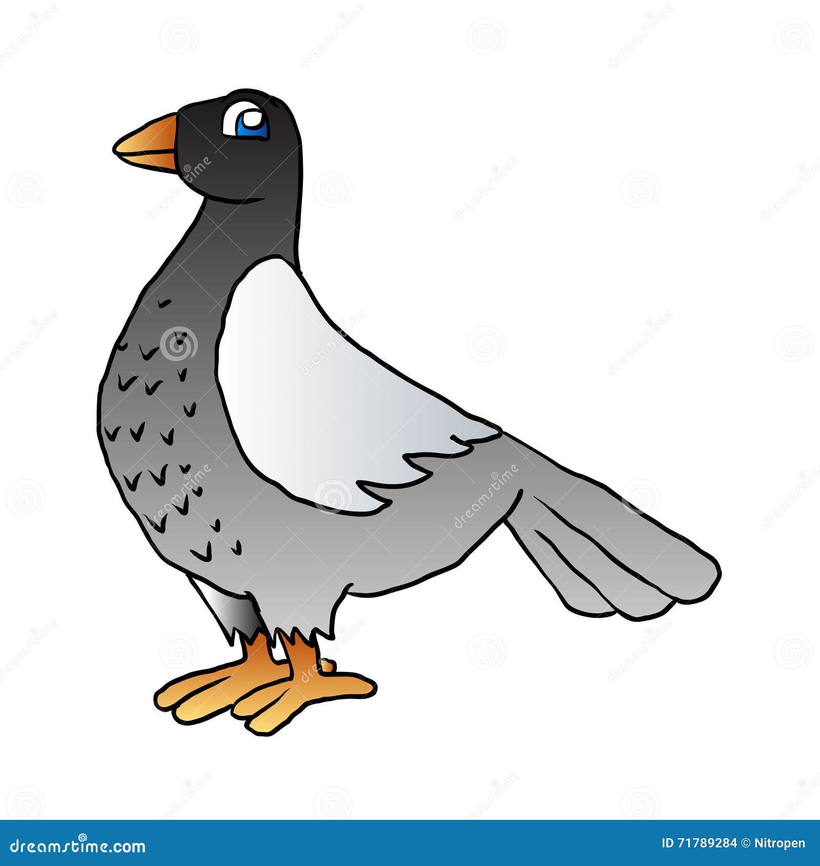 Pigeon Cartoon Dove Bird Pointing With Wing Vector Illustration ...
