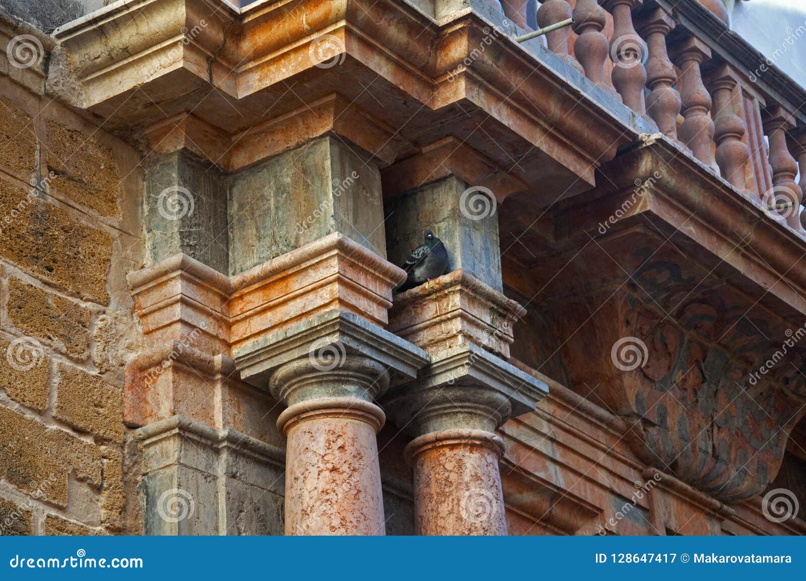 Grey Pigeon Sitting on the Column of Building Stock Image - Image of ...