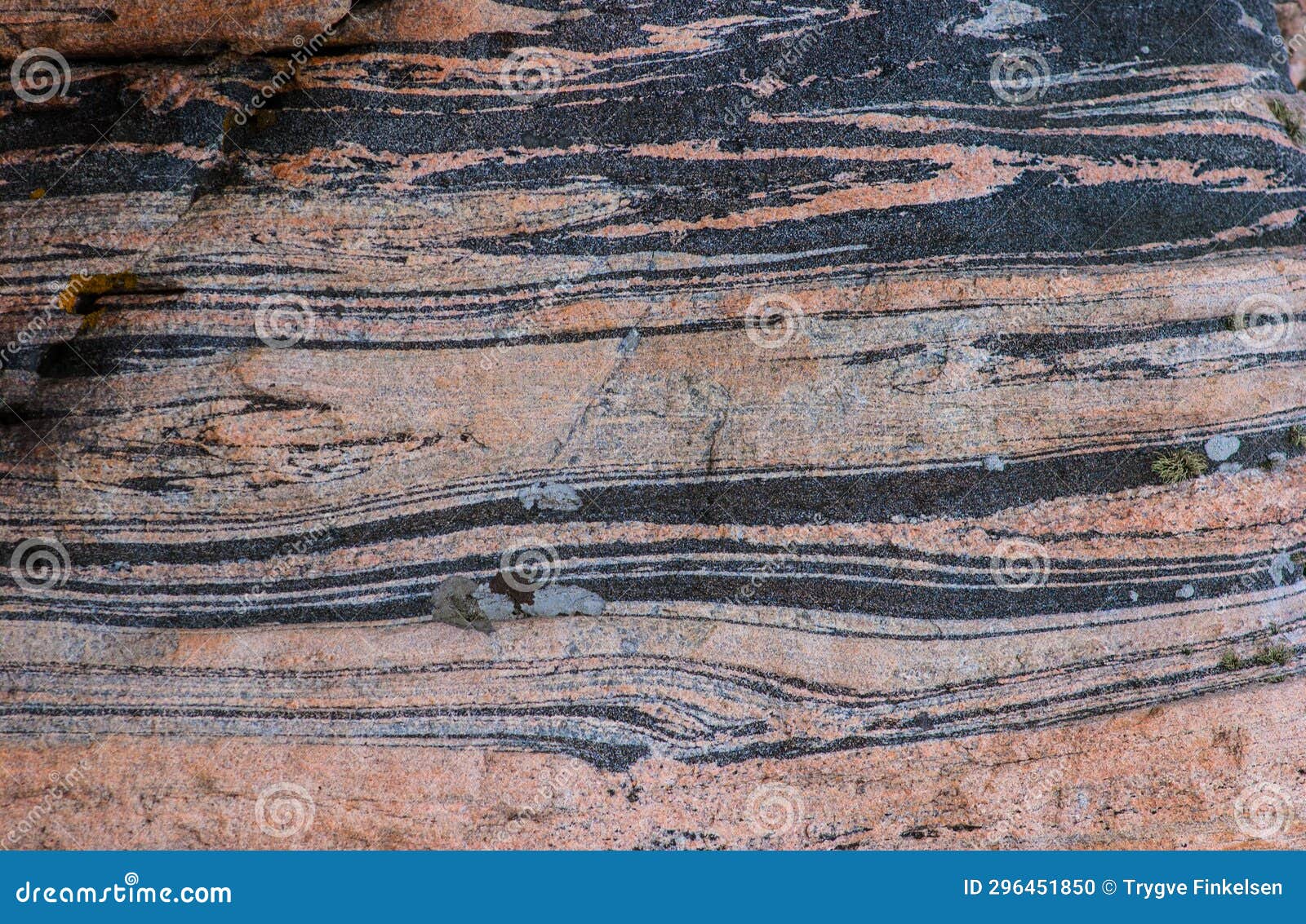 Gneiss Metamorphic Rock Pattern Stock Image | CartoonDealer.com #55642825
