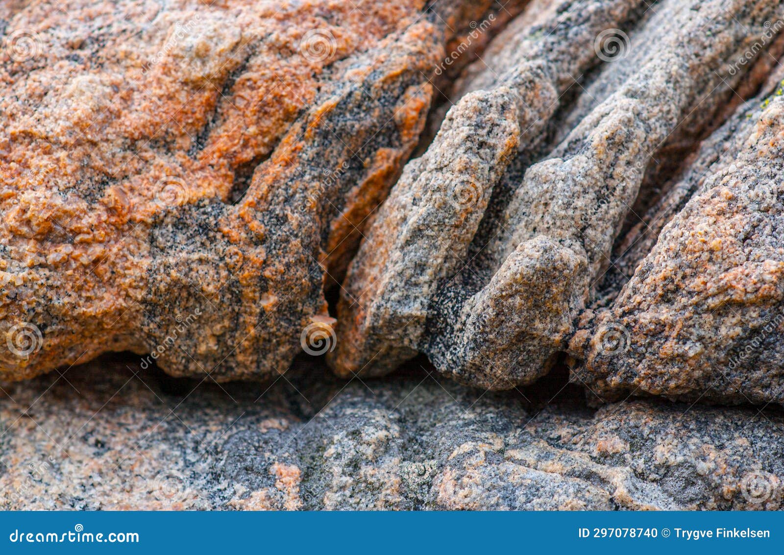 Grey and Pink Gneiss Metamorphic Rock.. Stock Photo - Image of gray ...