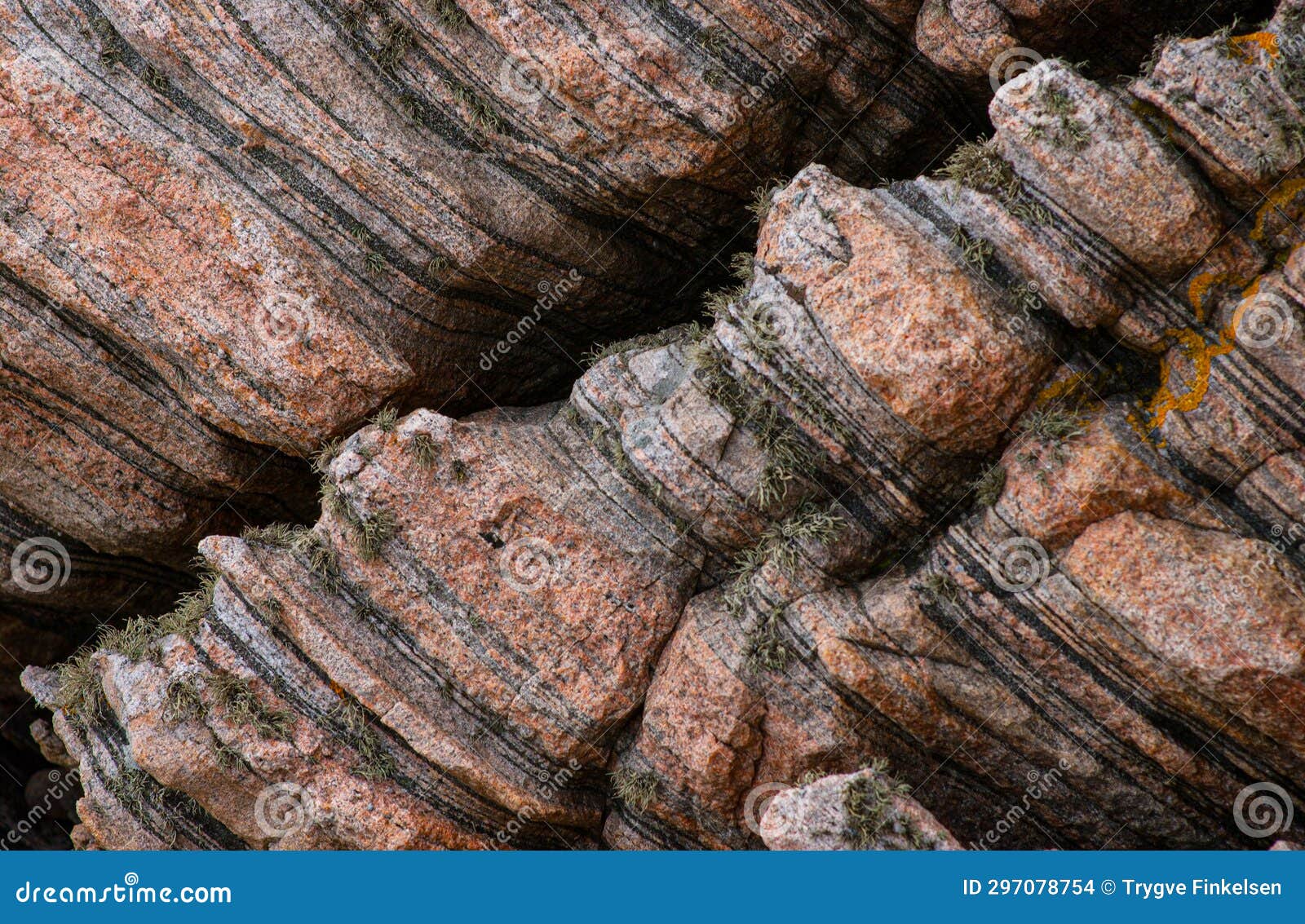 Grey and Pink Gneiss Metamorphic Rock.. Stock Photo - Image of rock ...
