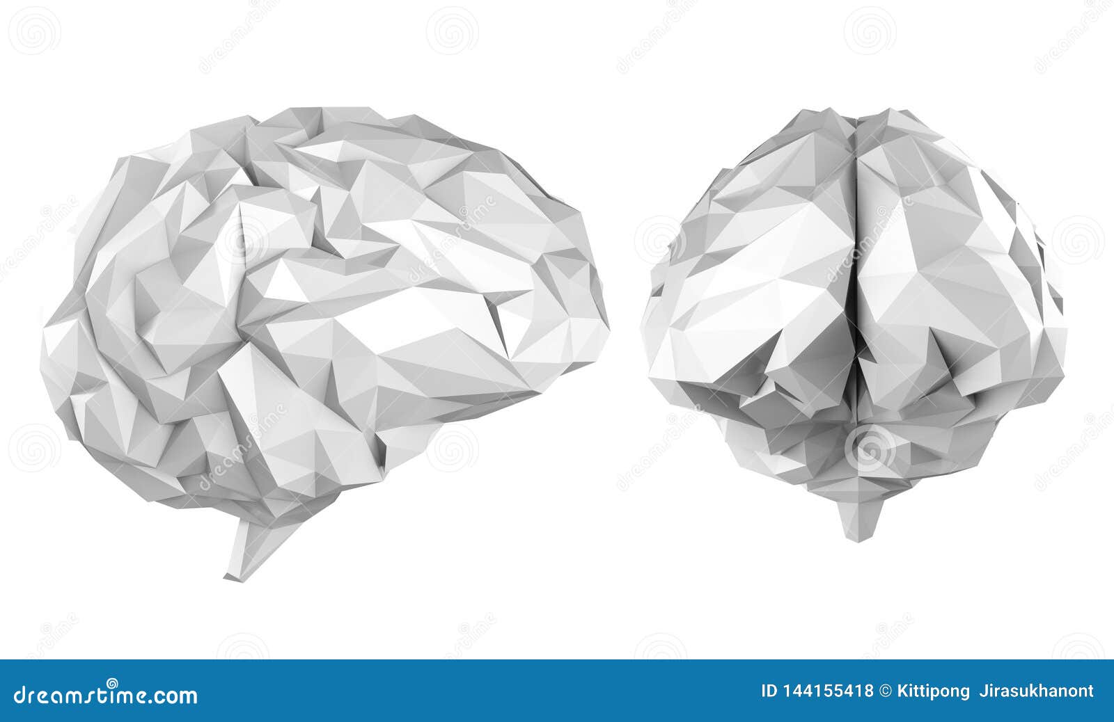 Polygonal Brain Function Infografic Cartoon Vector | CartoonDealer.com ...