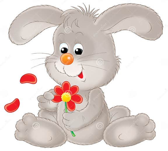 Grey rabbit stock illustration. Illustration of forest - 1581321