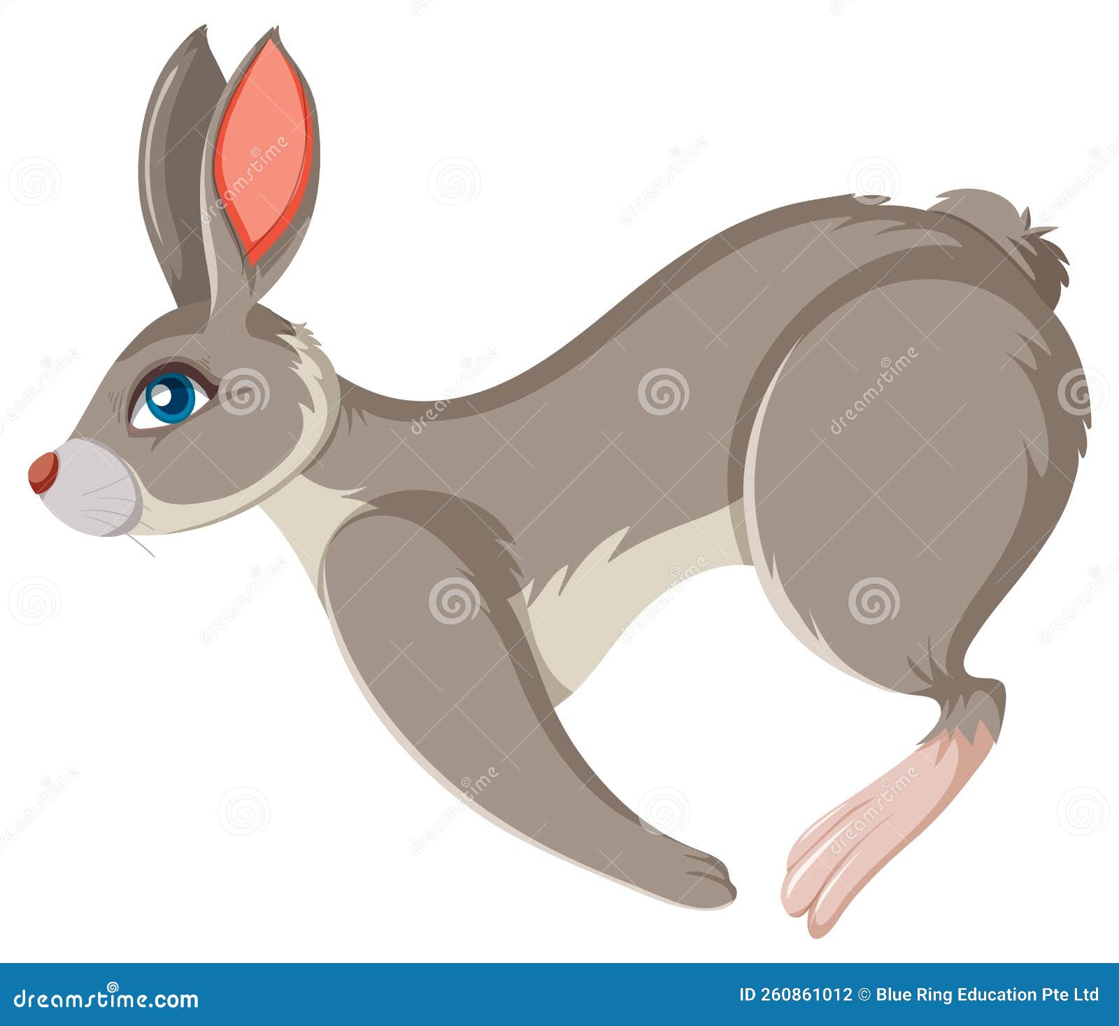 Grey Rabbit Jumping Isolated Stock Vector - Illustration of jumping ...
