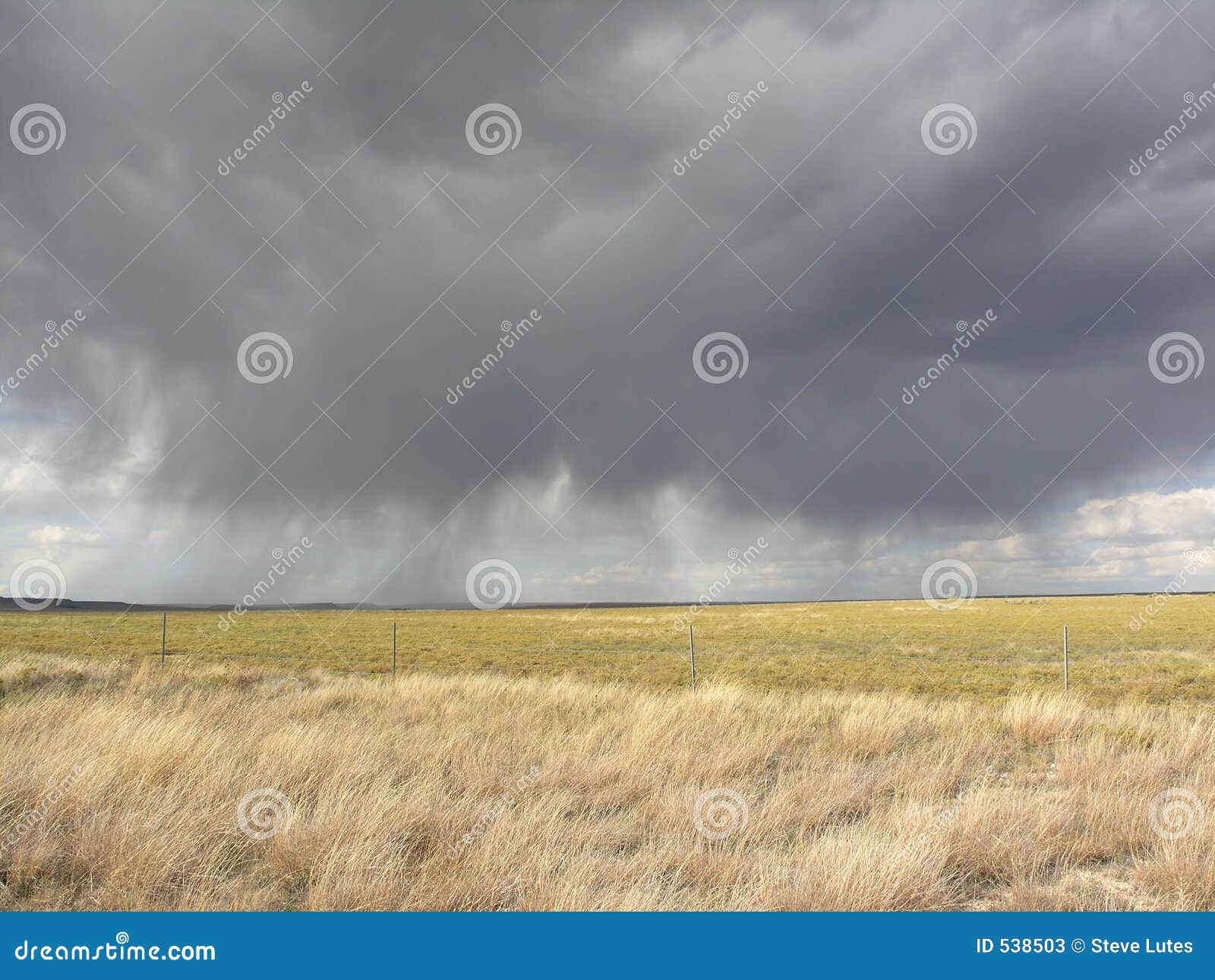 Grey Rain on Golden Field stock image. Image of mexico - 538503
