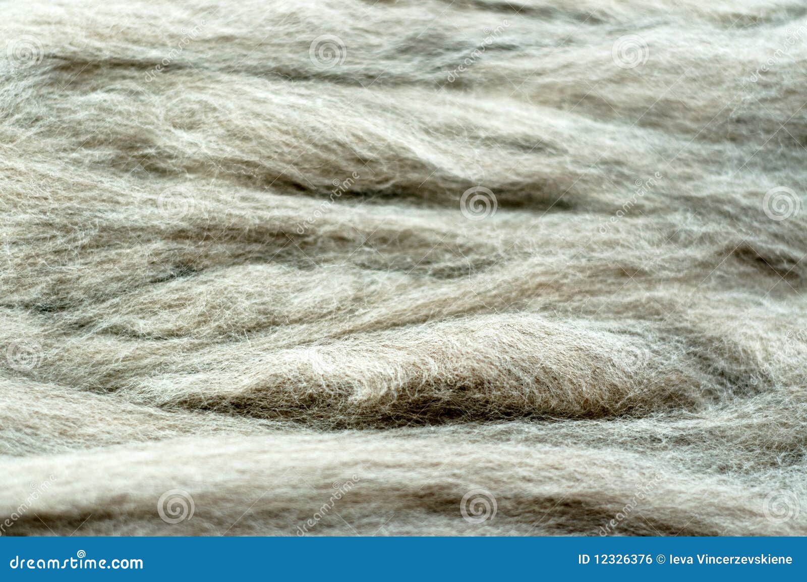 Grey raw wool background stock photo. Image of ecological - 12326376