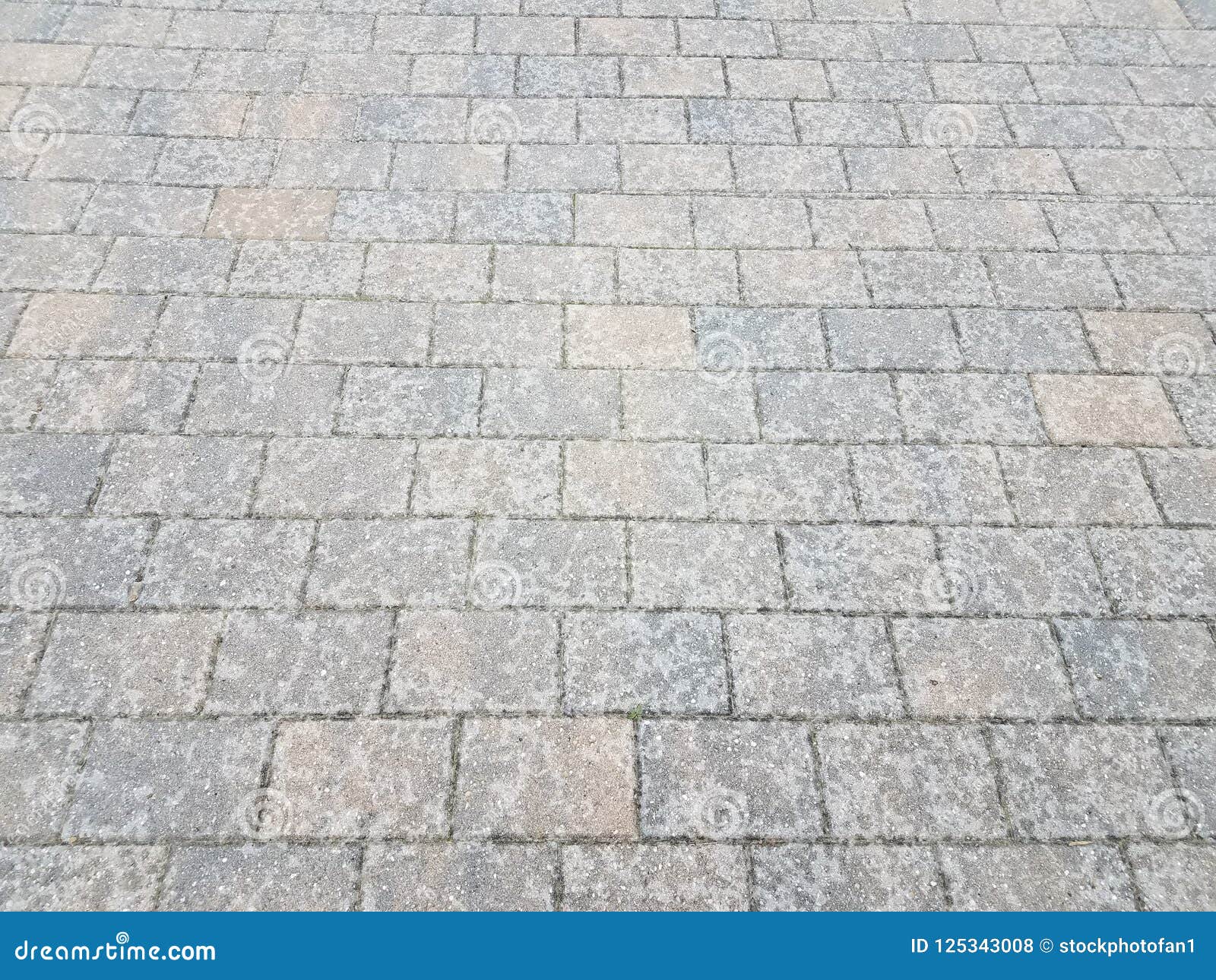 Bricks Floor Texture And Background . Royalty-Free Stock Image ...