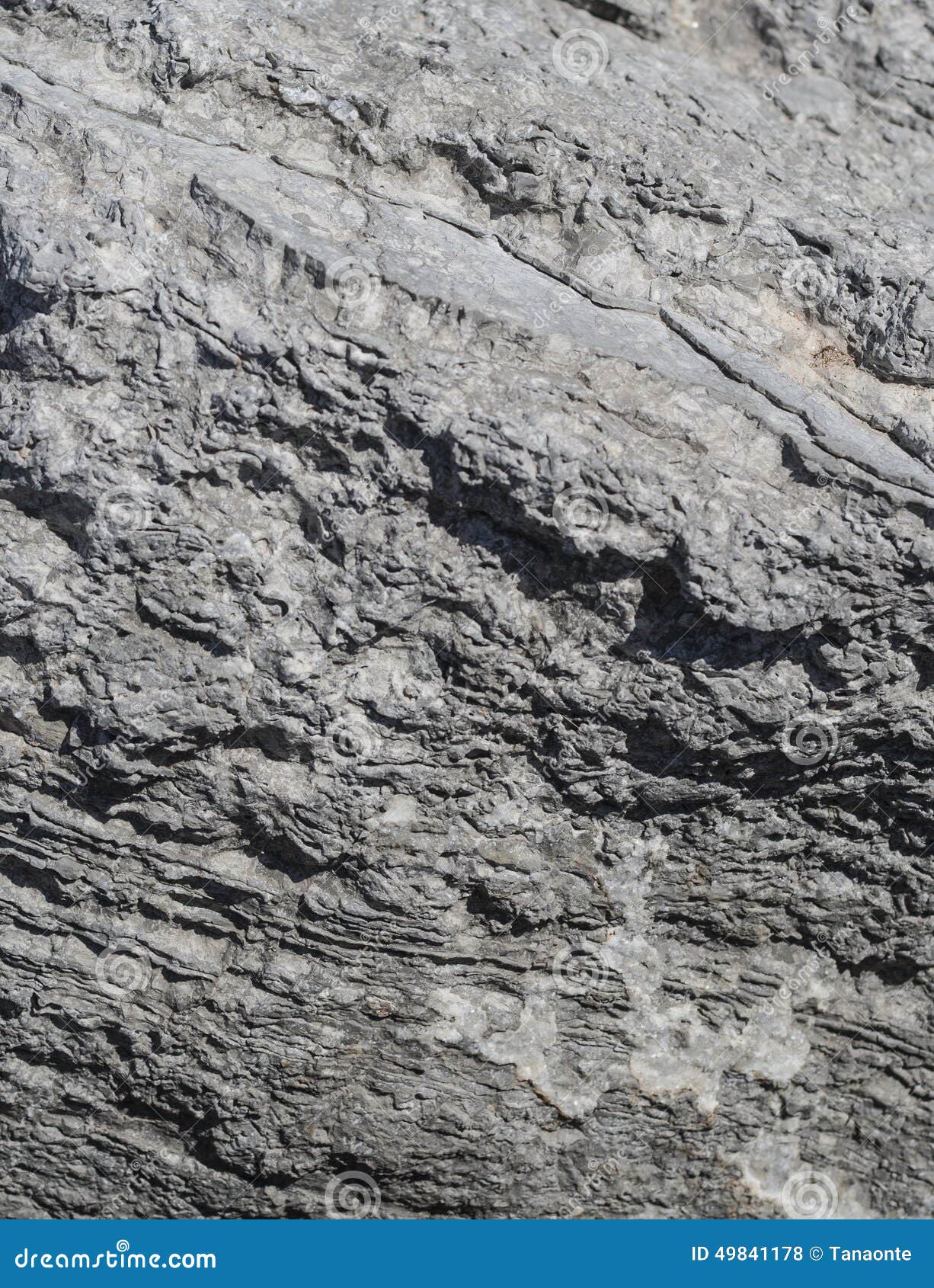 Grey rock texture stock photo. Image of macro, cement - 49841178